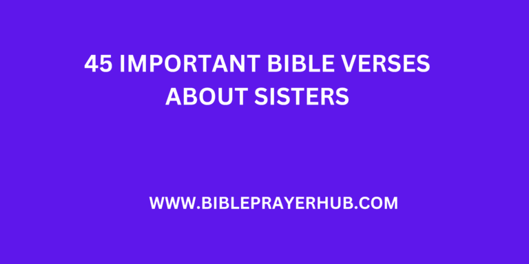 45 Important Bible Verses About Sisters (With Commentary)